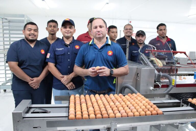 CON UNA INVERSIÓN DE MÁS DE 8 MILLONES AVÍCOLA CAMPESTRE INAUGURA SU ...